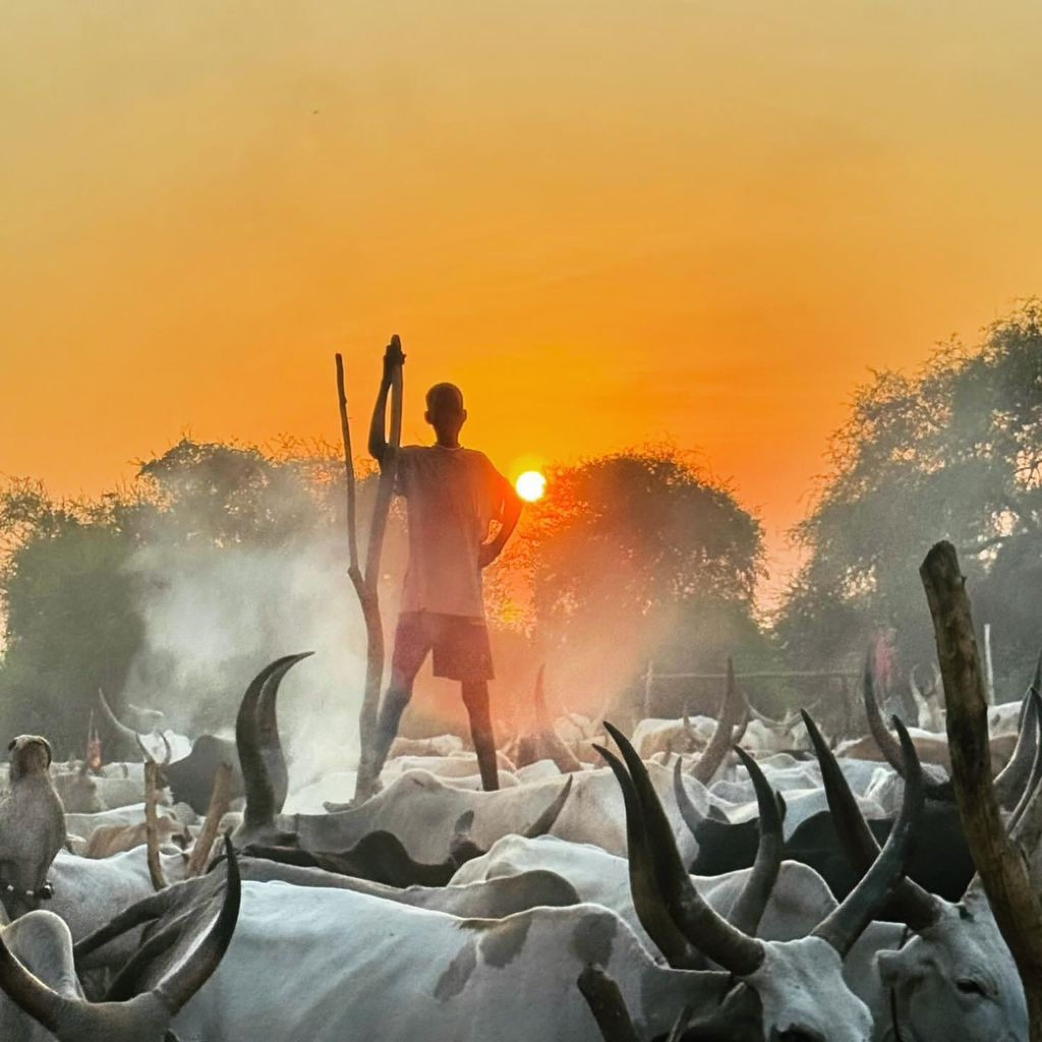 10 Days, 9 Nights Guided Adventure: Somalia/Somaliland, Djibouti ...