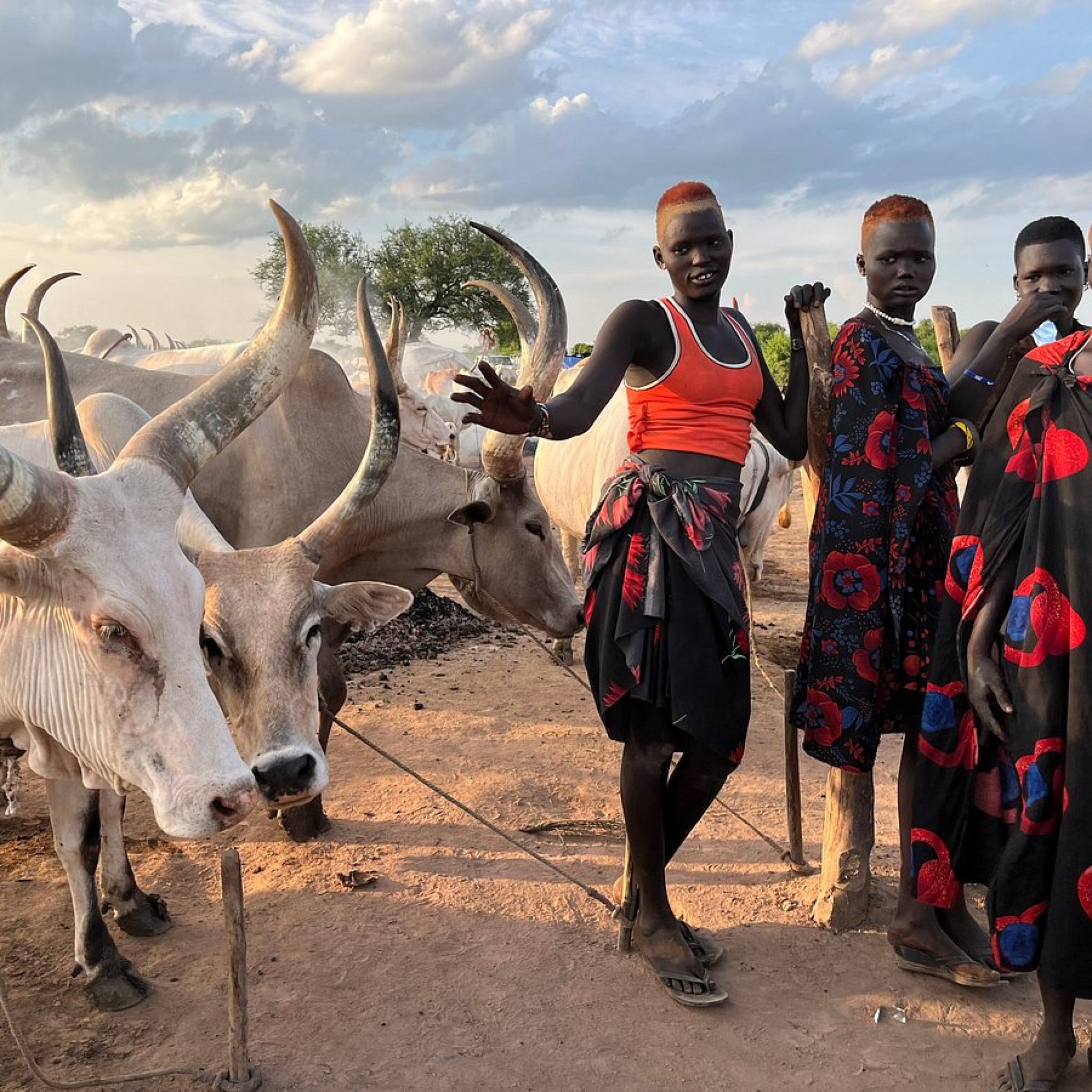 Exploring the Wonders: A 7Days Journey to Somalia Including Somaliland ...